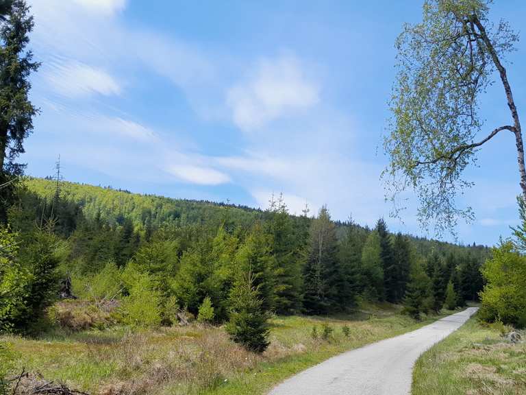 Plöckensteinsee & Hochstein💯😎 | Mountainbike-Tour | Komoot