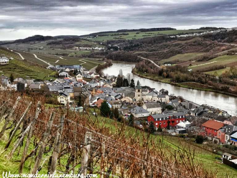 Autopedestre Wormeldange | Wanderung | Komoot