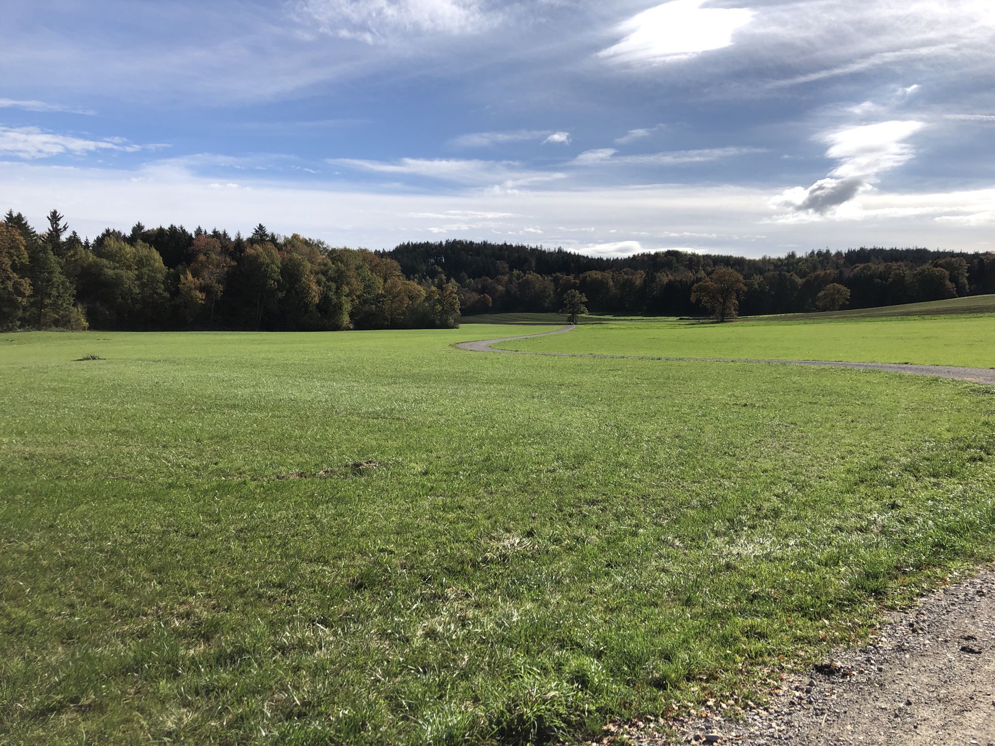 View of Andechs Abbey – Andechs Abbey loop from Erling | hike | Komoot