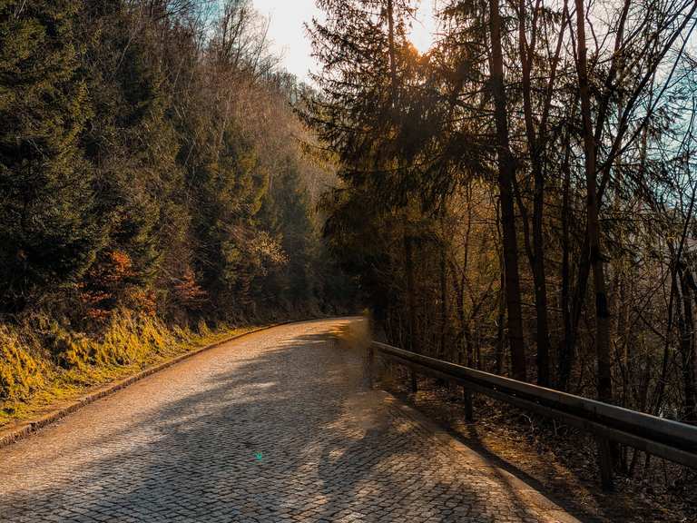 Der Carimbó an des Wassers Nabel, die Rügen der Judäische Volksfront ...