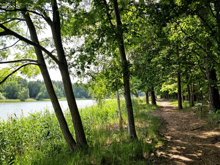 'Vegetation, Melioration & Rehabilitation': Durch die Karwer Heide, das ...