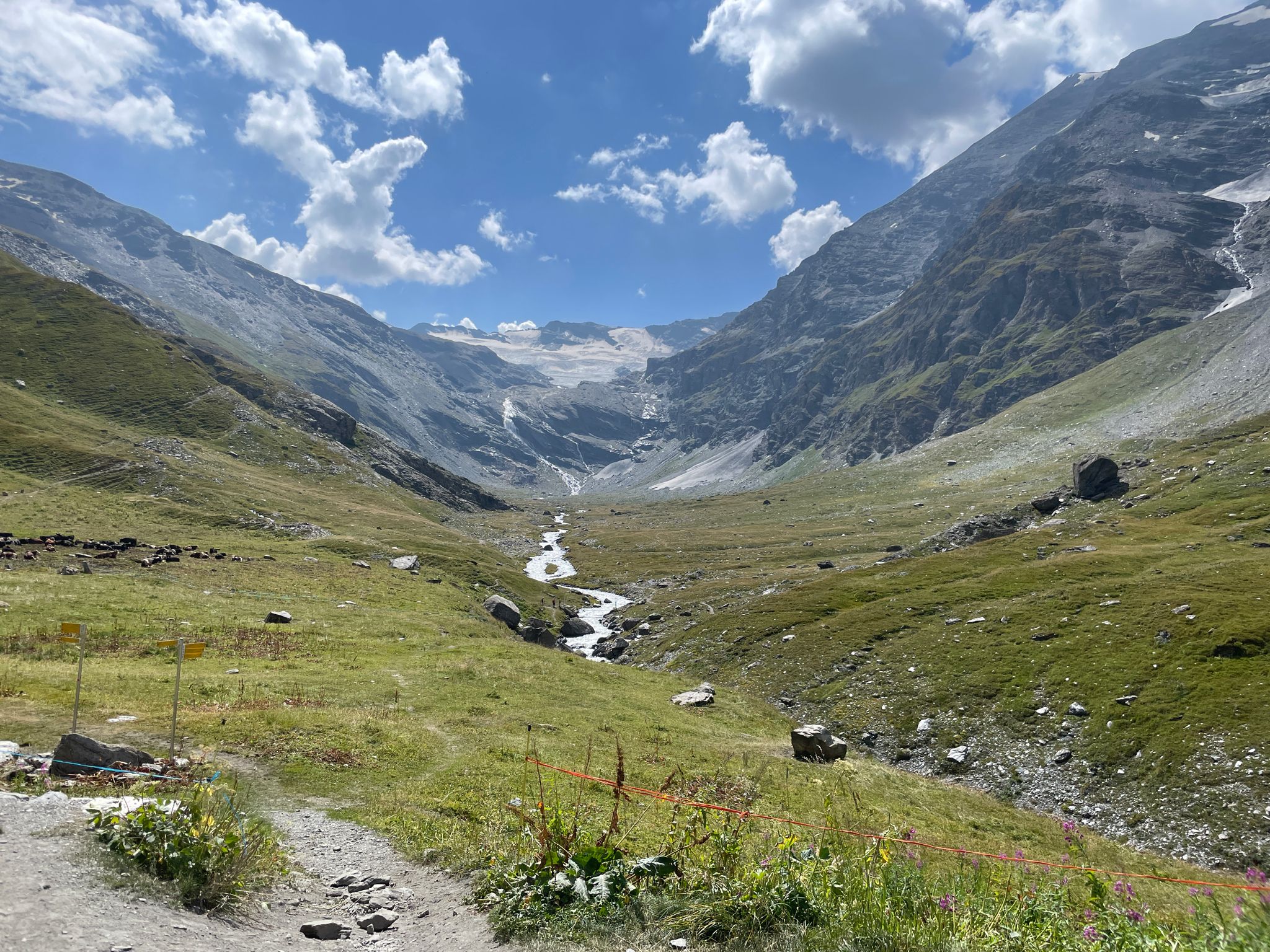 Alpine meadow hike from Rifugio Bezzi beneath Glairettaz glacier | hike ...