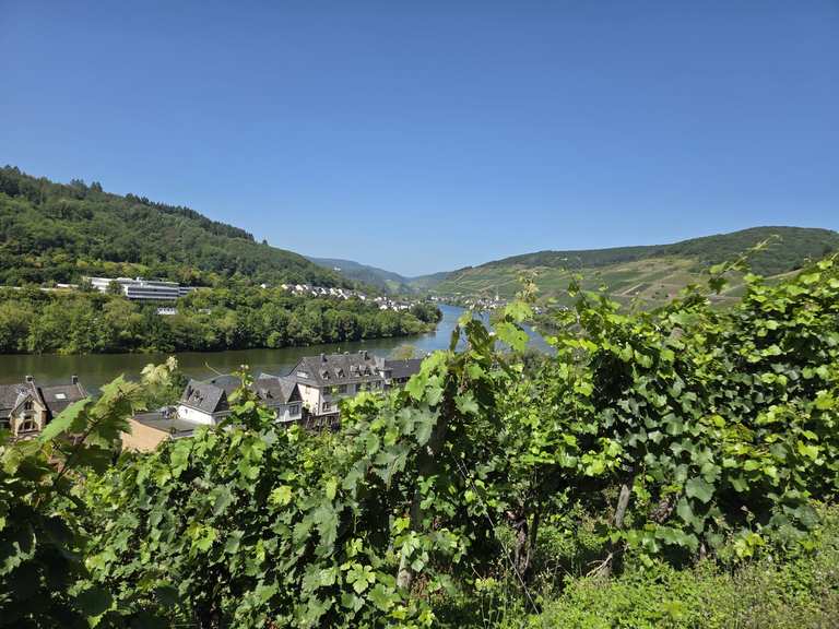 Fahrradtour zu Collis Turm | Fahrradtour | Komoot
