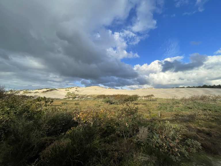 🇳🇱 Natuurhuis - De Kerf rondje | Wanderung | Komoot