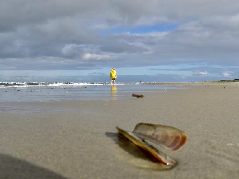2020–10-12 - G&U Juist-Wanderung 2 Dünenzauber-Loog-Domäne Bill ...