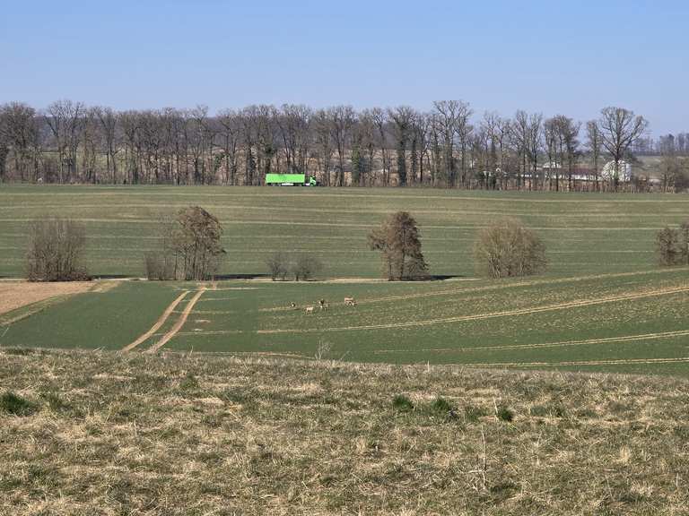 Steinsfurt, Adersbach, Kirchardt | Fahrradtour | Komoot