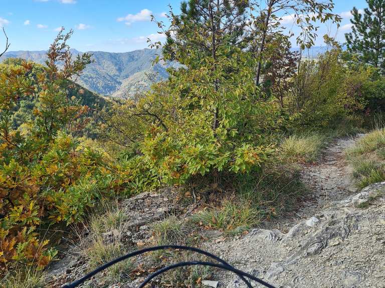 M.te Brusca- Passo del Tramazzo- da Tredozio | Mountainbike-Tour | Komoot