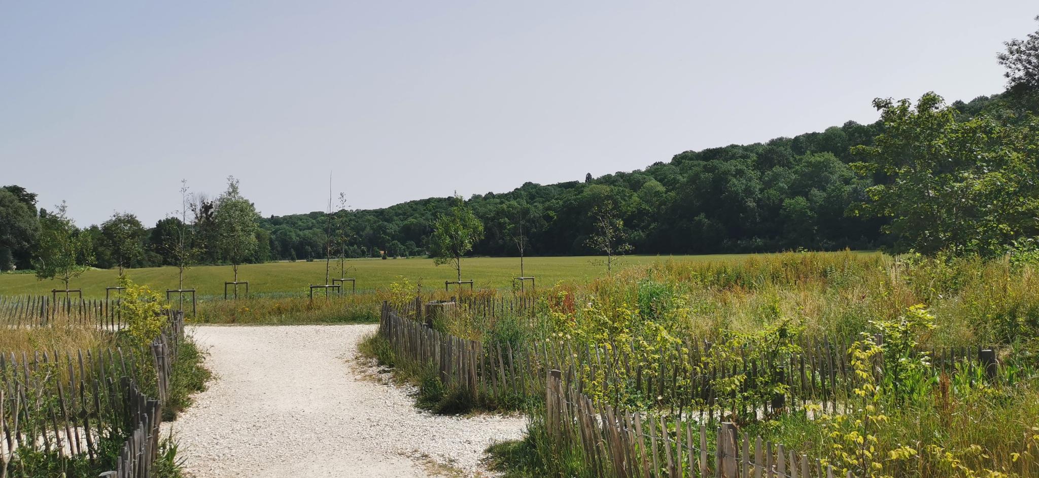 Things to Do around Gouvernes
