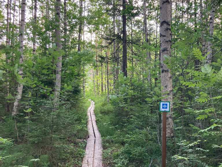 Karhuvuoren Luontopolku, Savonlinna | hike | Komoot