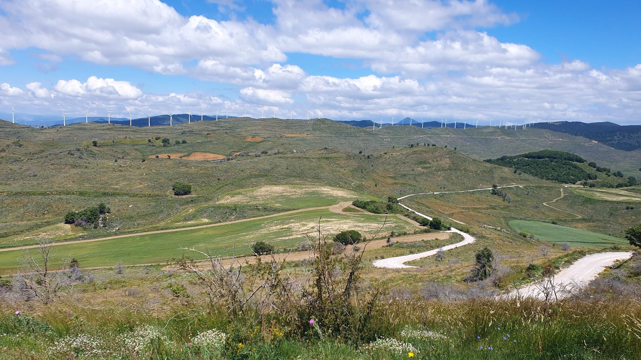 Wat te doen rond San Martín de Unx