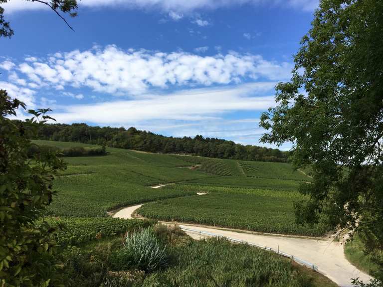 Top 10 randonnées et balades autour de Ville-Dommange | Komoot