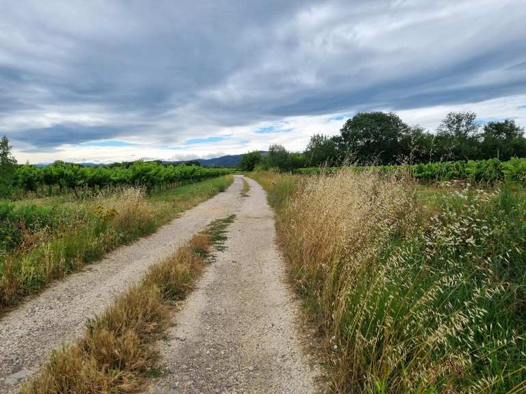 Die 5 schönsten Wanderungen rund um Boucoiran-Et-Nozières | Komoot