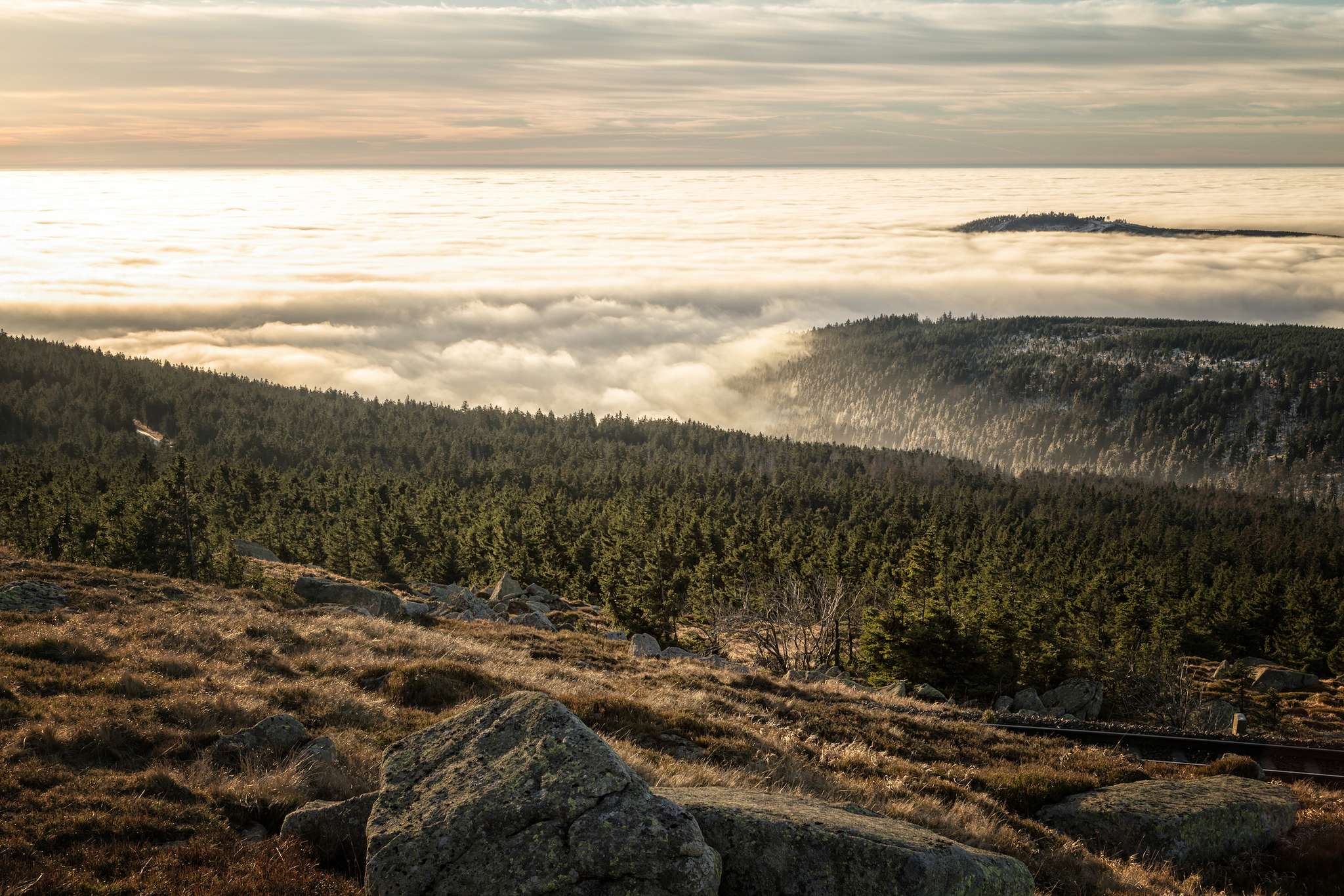 Top 10 Hikes and Walks in the Harz Mountains | Komoot