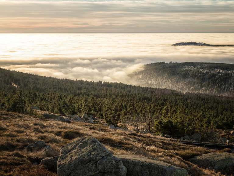 Top 10 Hikes and Walks in the Harz Mountains | Komoot