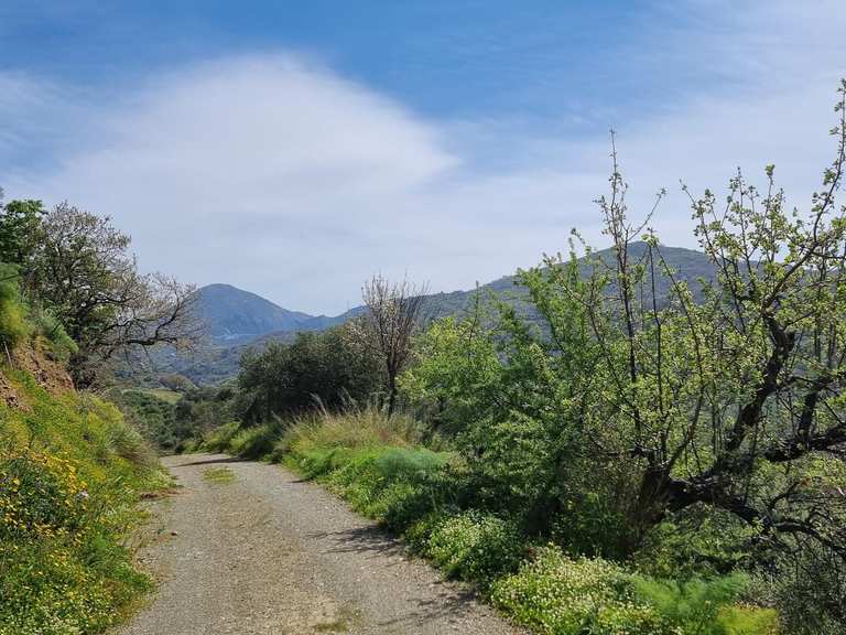 Top 10 Running Trails in the Crete | Komoot