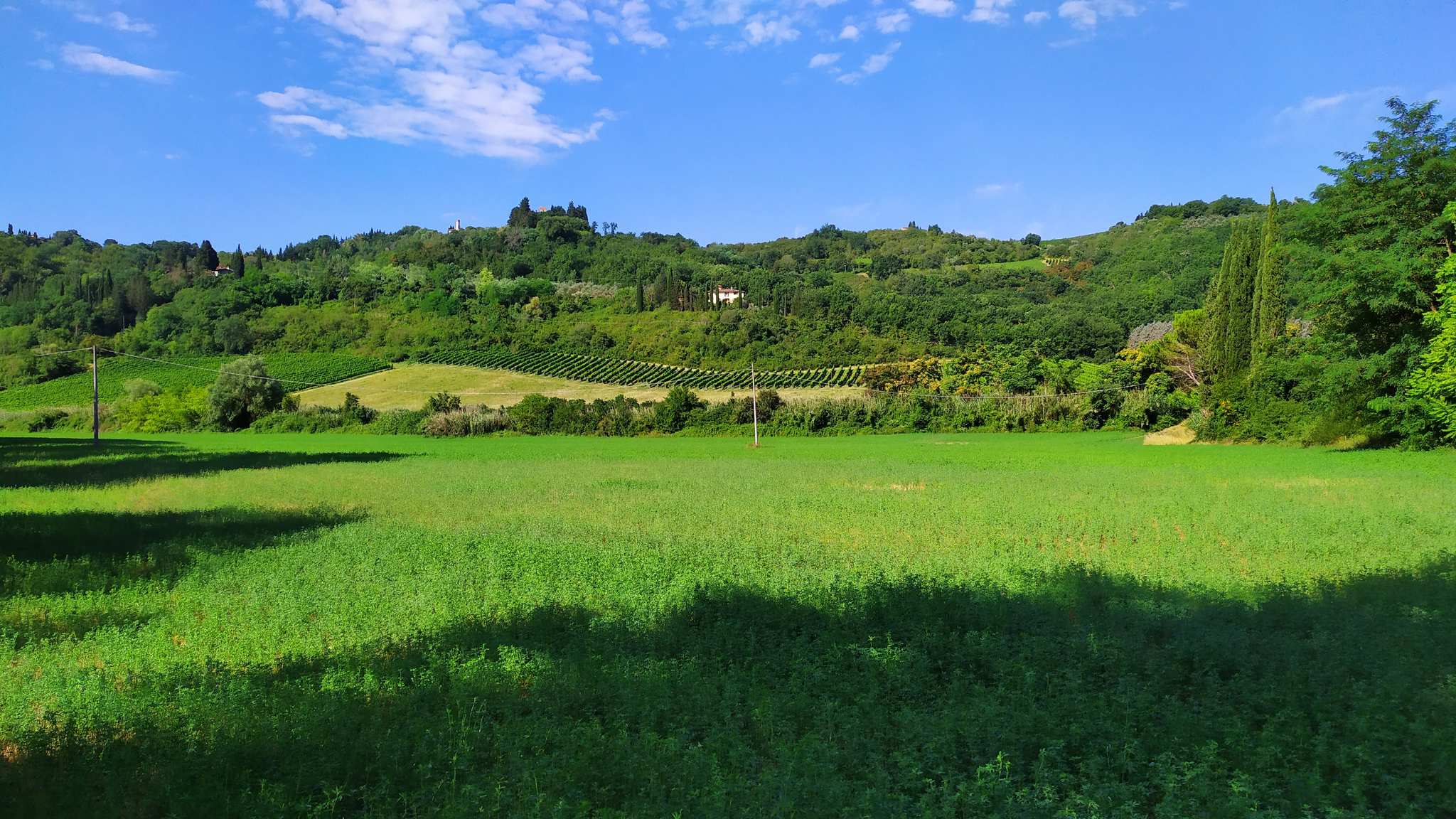 Top 20 Running Trails in Florence | Komoot