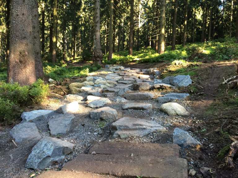 De 10 mooiste MTB-routes in het Harz gebergte | Komoot