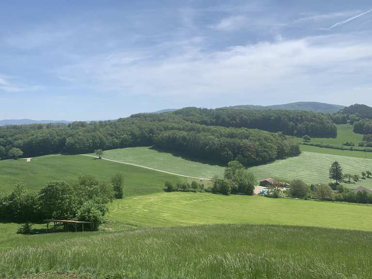 Die 10 schönsten Wanderungen rund um Altenmarkt an der Triesting | Komoot