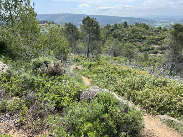 Top 5 randonnées et balades autour de Bize-Minervois | Komoot