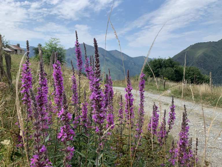 Los mejores sitios que ver en Bielle - Top 20 | Komoot