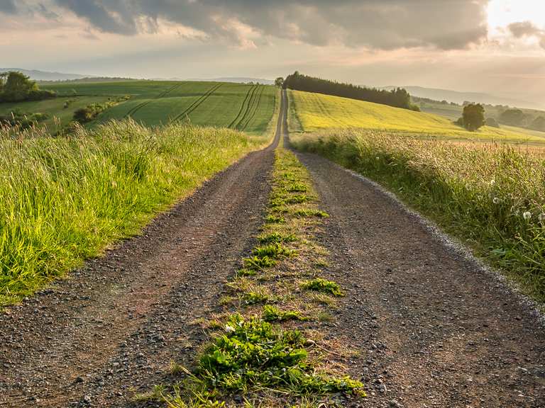 De 10 mooiste fietsroutes in het Harz gebergte | Komoot
