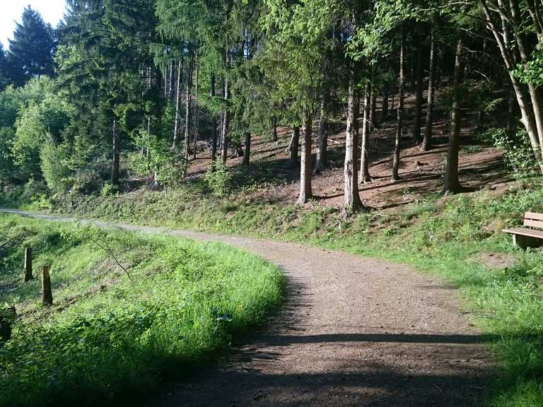 De 10 mooiste wandelroutes rond Wuppertal | Komoot