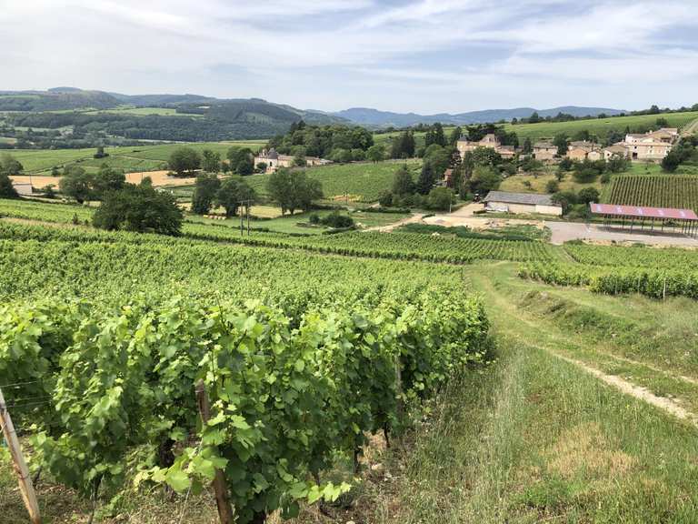 Die Top-Mountainbike-Touren rund um La Roche-Vineuse | Komoot