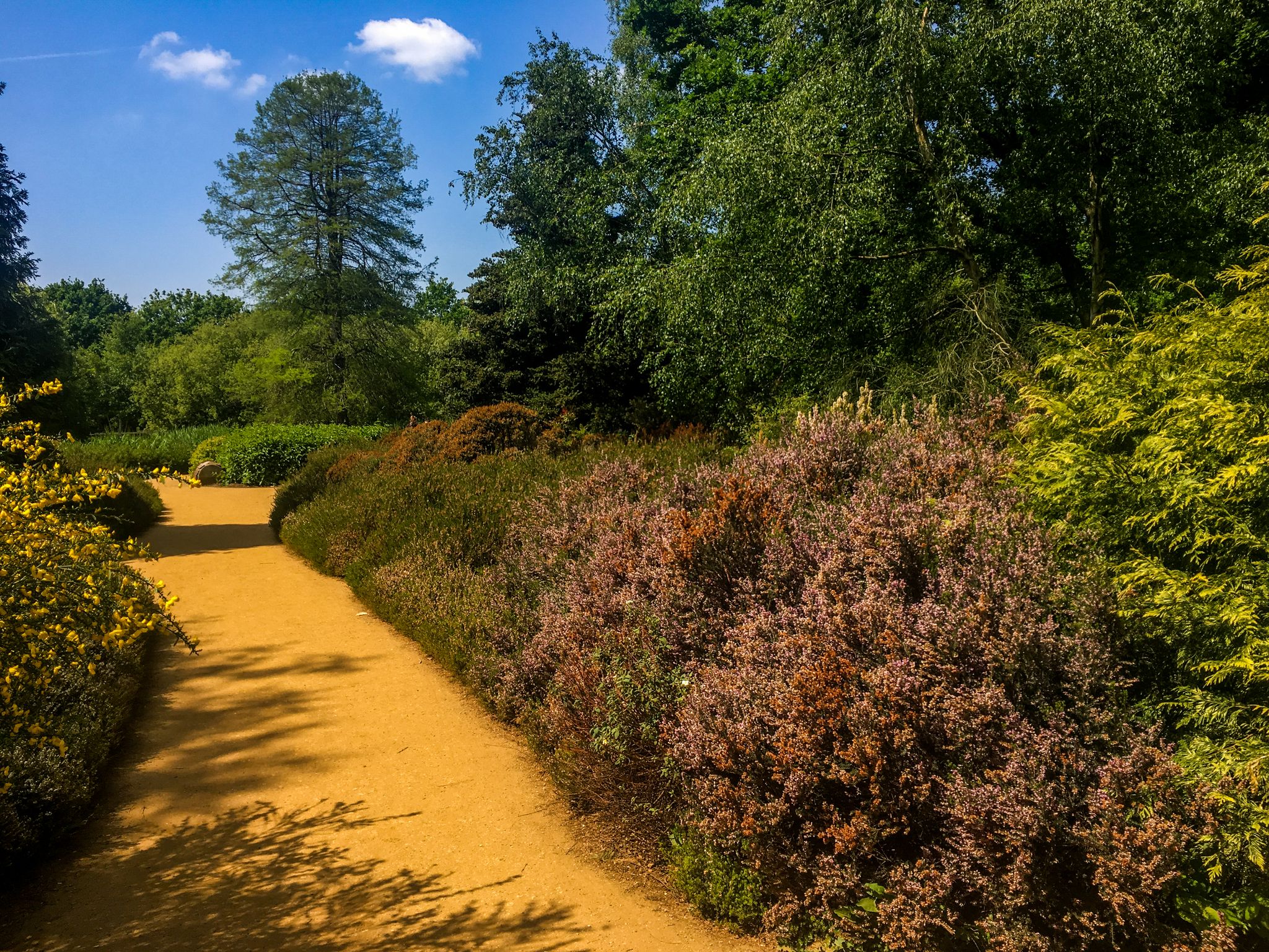 Top 10 Running Trails around the City of London | Komoot