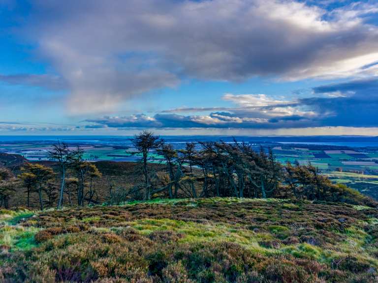 Top 10 Hikes and Walks in Angus | Komoot