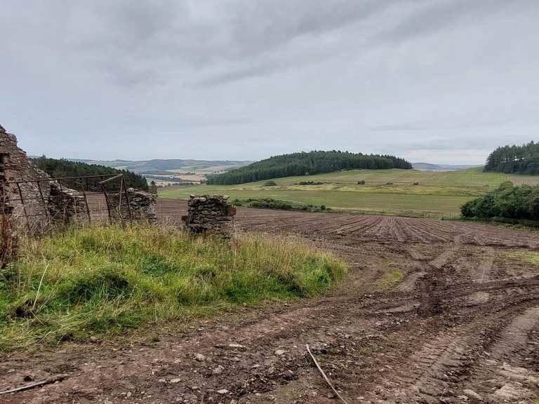 Top 10 Running Trails around Dundee City | Komoot