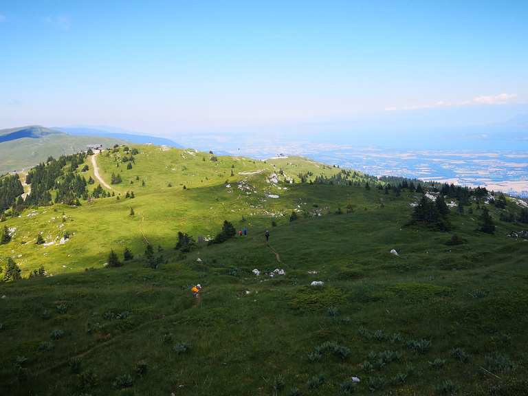 Top 10 randonnées et balades autour de La Pesse | Komoot