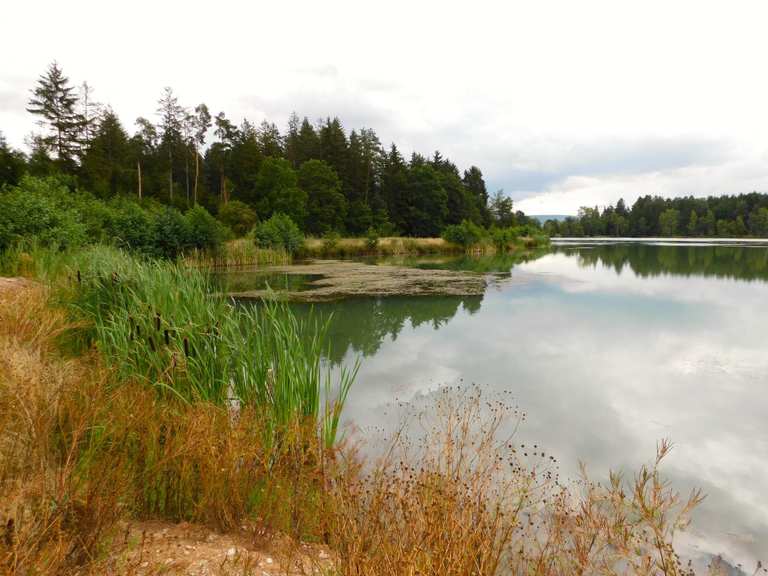 Die 10 schönsten Wanderungen rund um den Riedsee | Komoot