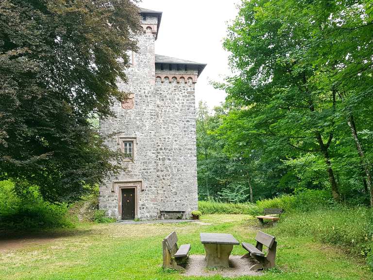 Die 10 schönsten Wanderungen rund um Aremberg | Komoot