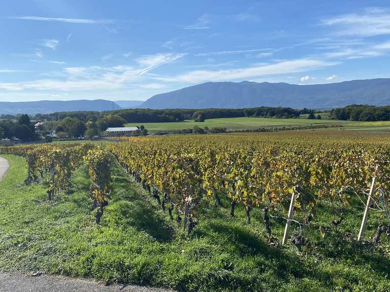 Top 10 Hikes and Walks around Geneva | Komoot