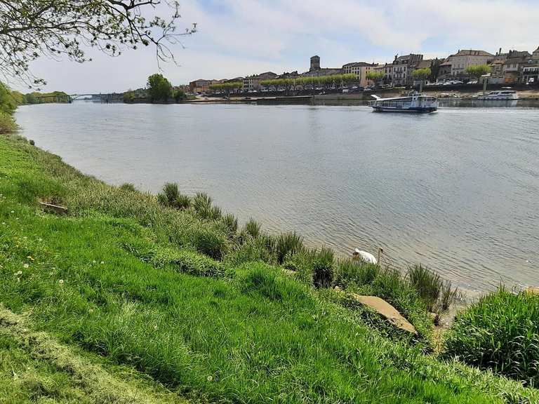 Les plus belles promenades et randonnées autour de Tournus | Komoot