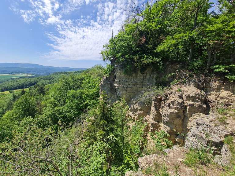 Die 10 schönsten Wanderungen rund um Asbach-Sickenberg | Komoot