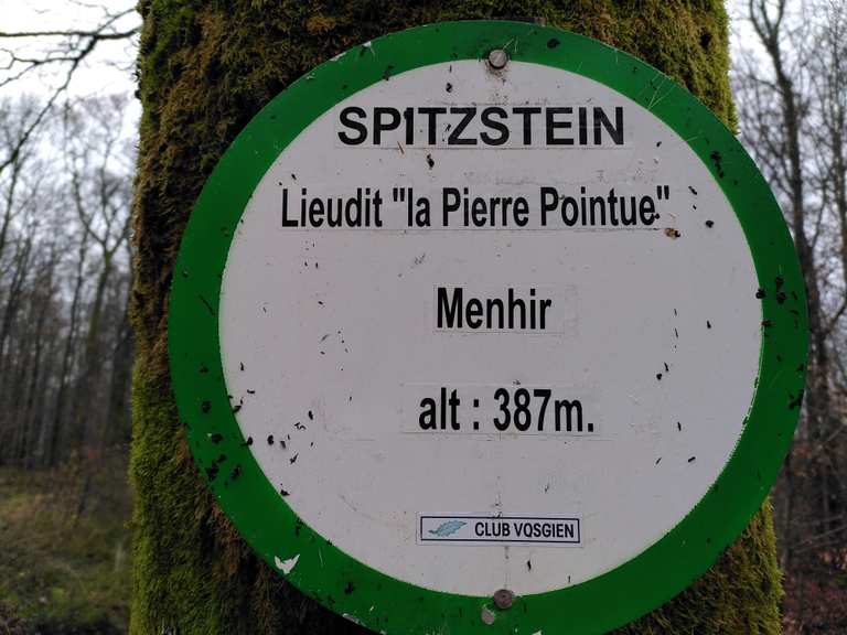 Die 10 schönsten Wanderungen rund um Volksberg | Komoot