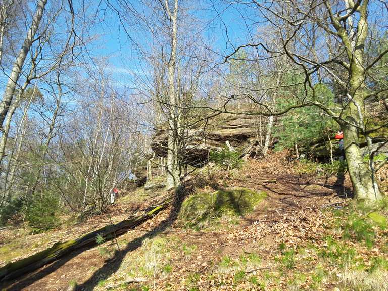 Top 10 randonnées et balades autour de Wingen-sur-Moder | Komoot