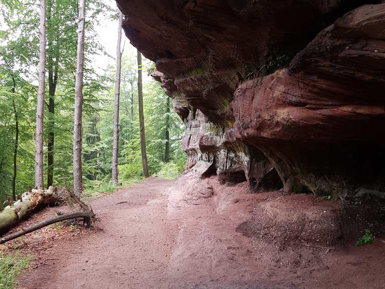 Top 12 randonnées et balades autour de Eschbourg | Komoot