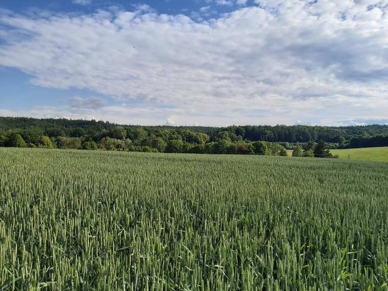Die 10 schönsten Wanderungen rund um Aystetten | Komoot