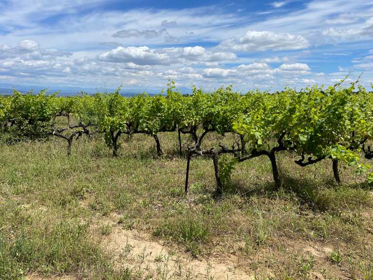 Top 9 Hikes and Walks around Salazac | Komoot