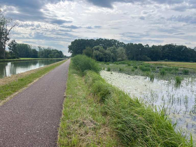 Top 6 randonnées et balades autour de Wittersheim | Komoot