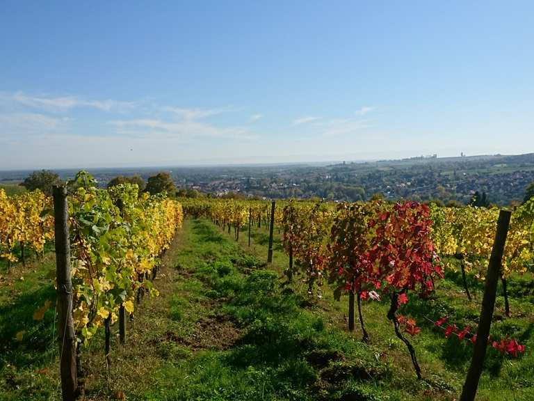 Die 10 schönsten Wanderungen in der Region Niederrhein | Komoot