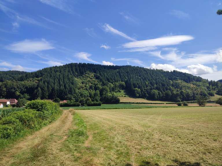 Top 10 Hikes and Walks around Apprieu | Komoot
