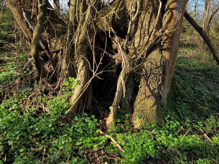 Los mejores sitios que ver en Fresnes - Top 20 | Komoot