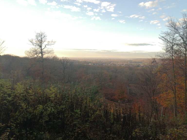 Top 10 randonnées et balades autour de Luzarches | Komoot