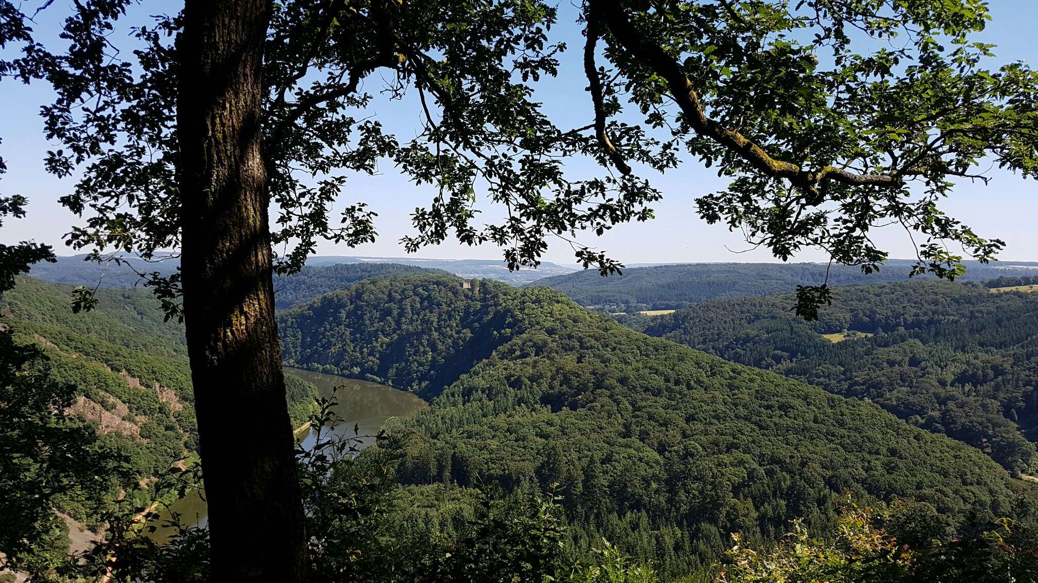 Die 10 schönsten Wanderungen in Landkreis Merzig-Wadern | Komoot