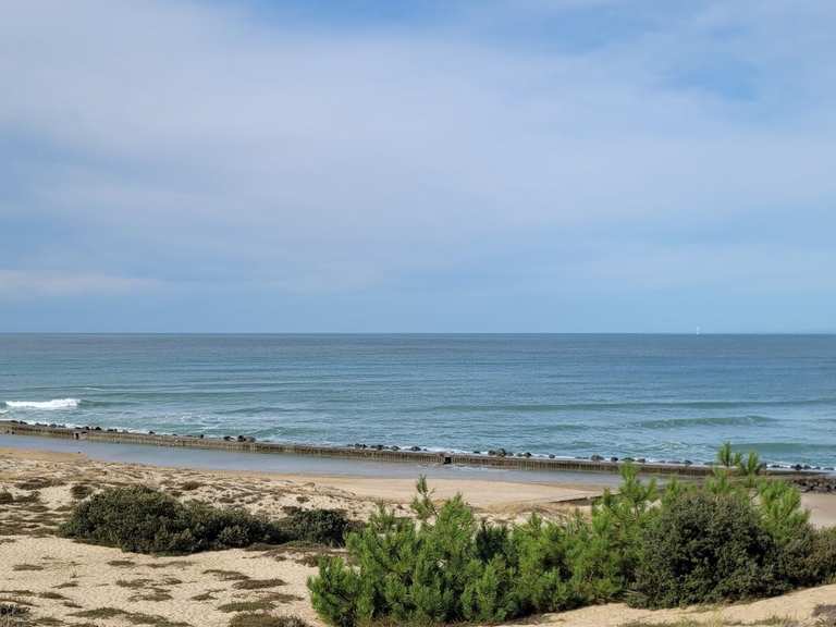 Los mejores sitios que ver en Le Verdon-sur-Mer - Top 20 | Komoot