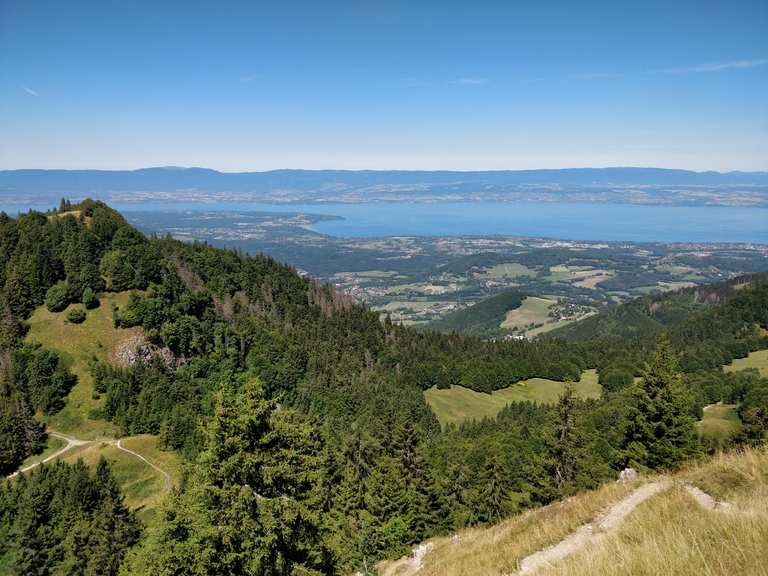 Top 10 randonnées et balades autour de Bellevaux | Komoot