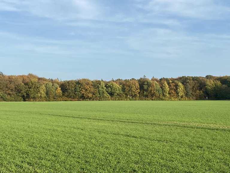 Die 10 schönsten Wanderungen rund um Blankenhagen | Komoot